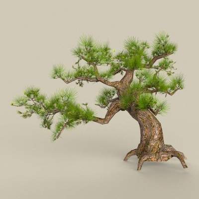 Tree Free 3D Model