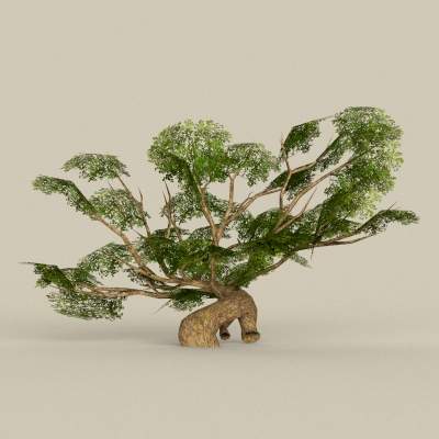 Tree 09 - 3D Model by TreeWorld3d