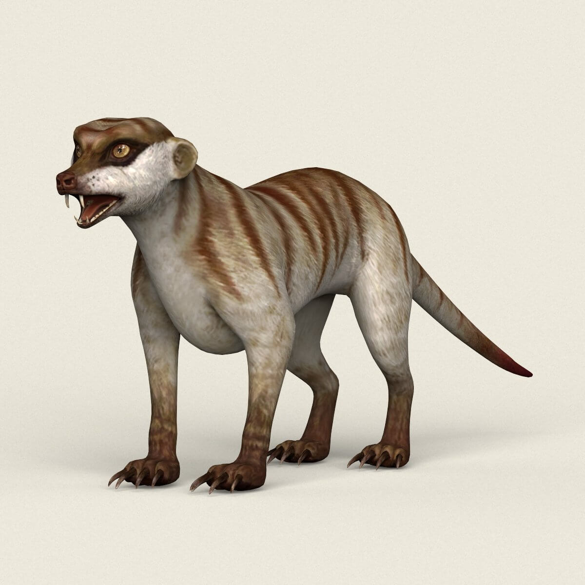 Meerkat - 3D Model by TreeWorld3d