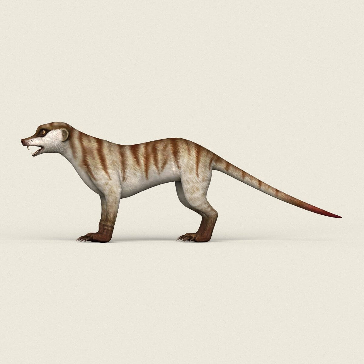 Meerkat - 3D Model by TreeWorld3d