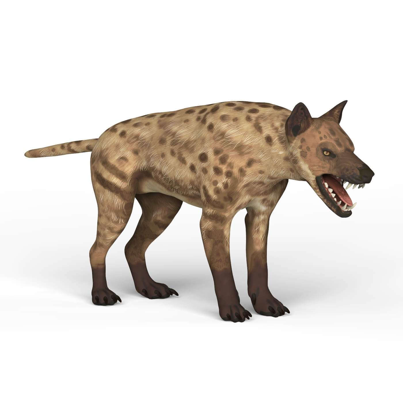 Monster Dog - 3D Model by TreeWorld3d