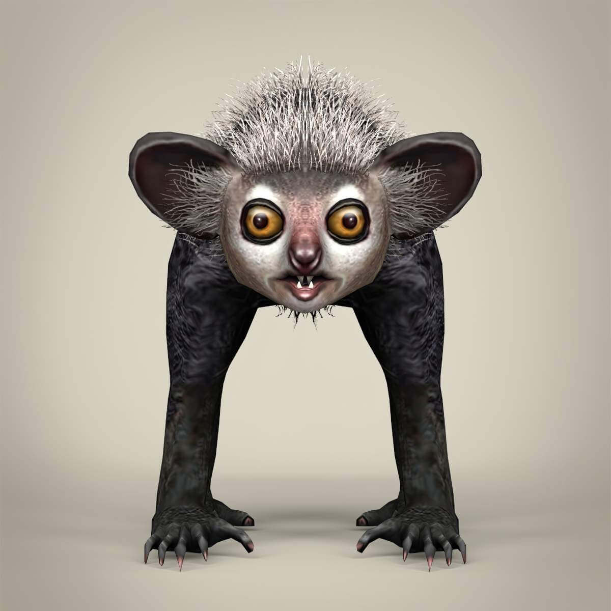 Aye Aye - 3D Model by TreeWorld3d