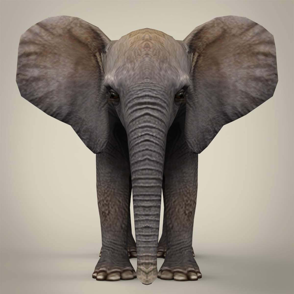 Baby Elephant - 3D Model by TreeWorld3d