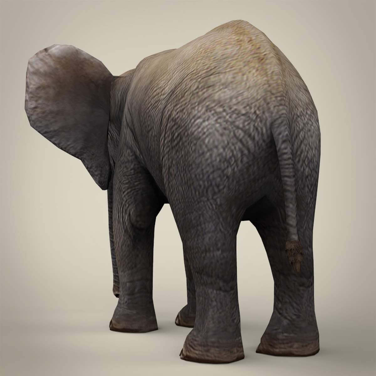 Baby Elephant - 3D Model by TreeWorld3d