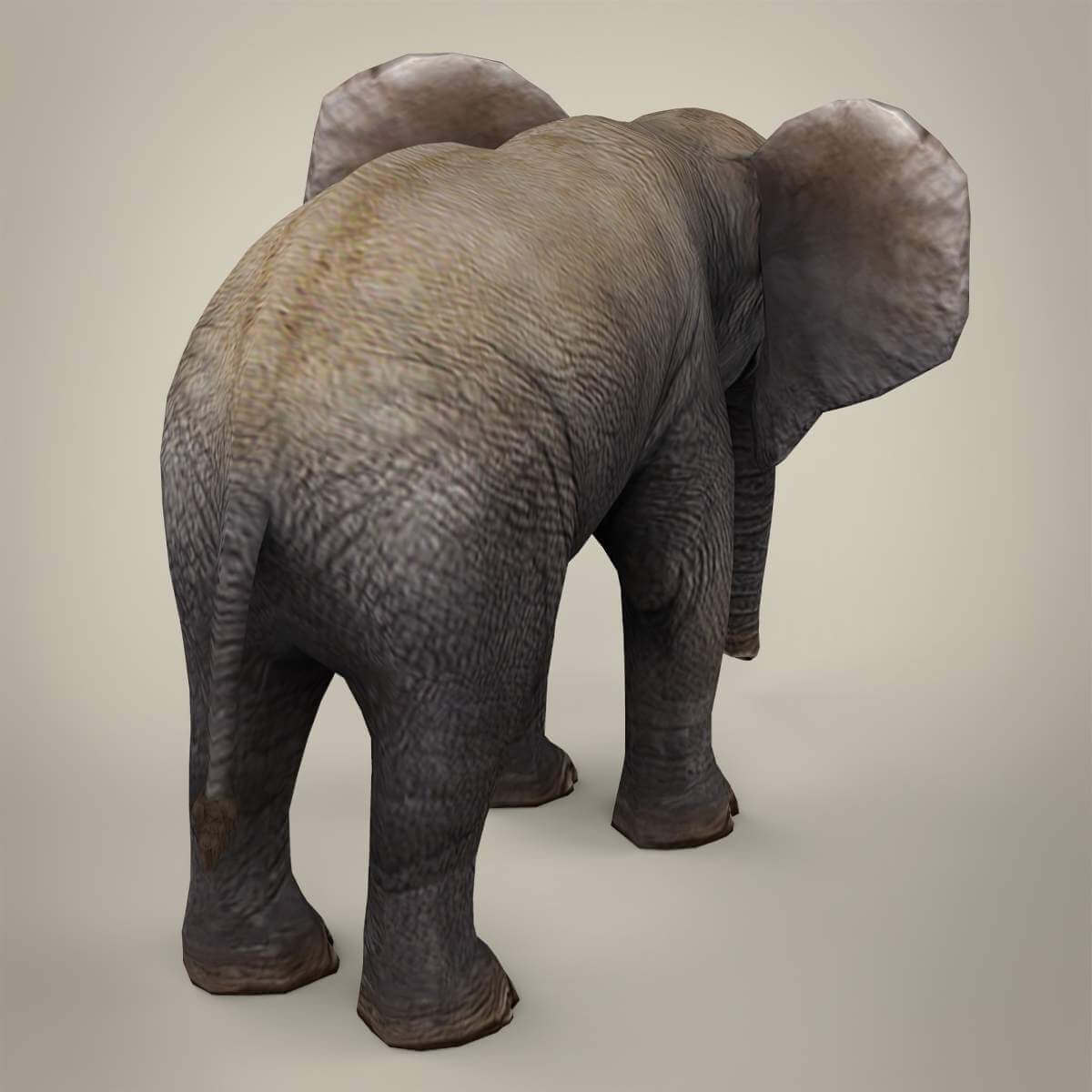 Baby Elephant - 3D Model by TreeWorld3d