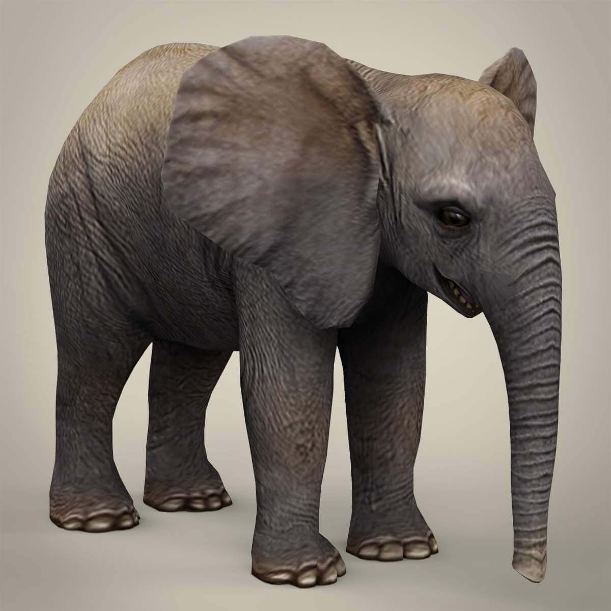 Baby Elephant - 3D Model by TreeWorld3d