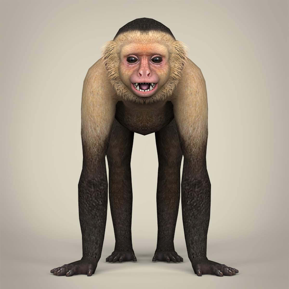 Capuchin Monkey - 3D Model by TreeWorld3d