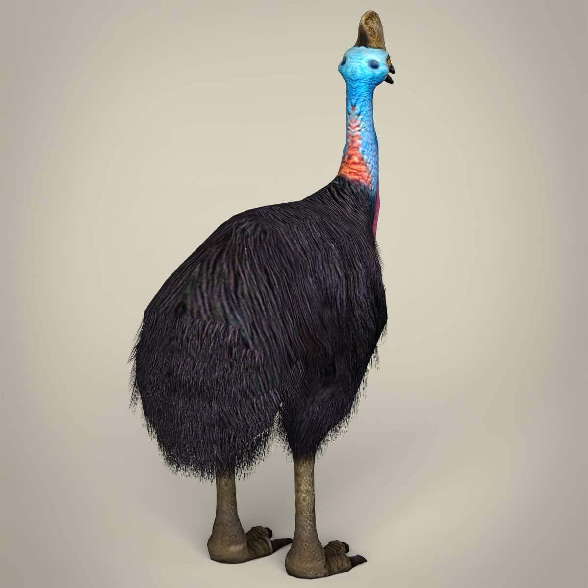 Cassowary - 3D Model by TreeWorld3d