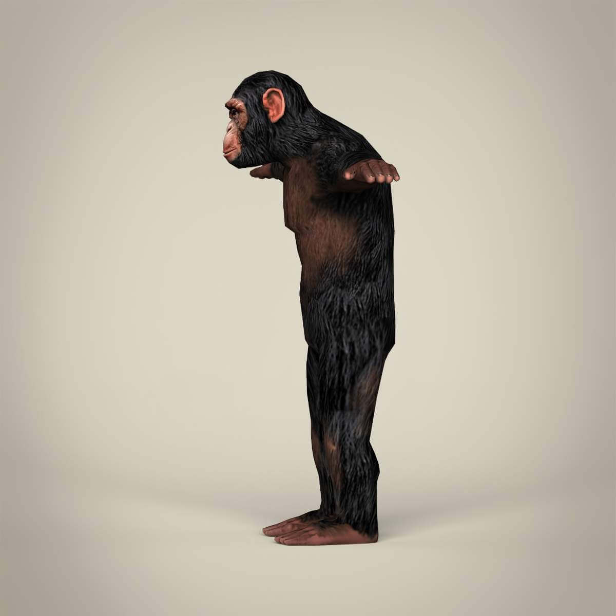 Chimpanzee - 3D Model by TreeWorld3d