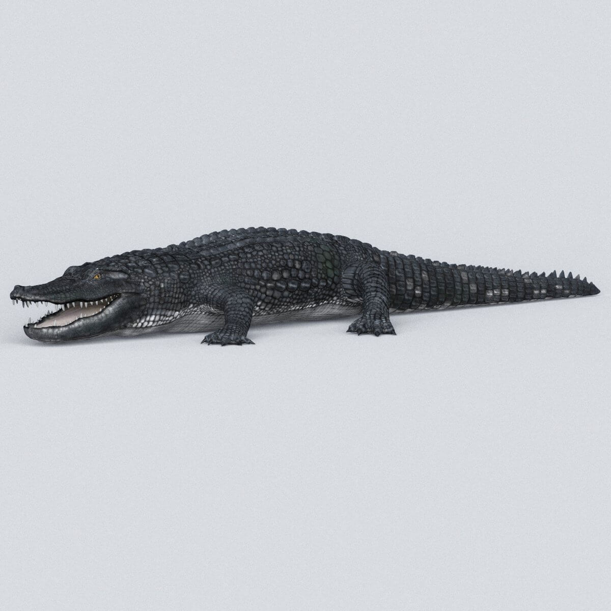 Crocodile - 3D Model by TreeWorld3d