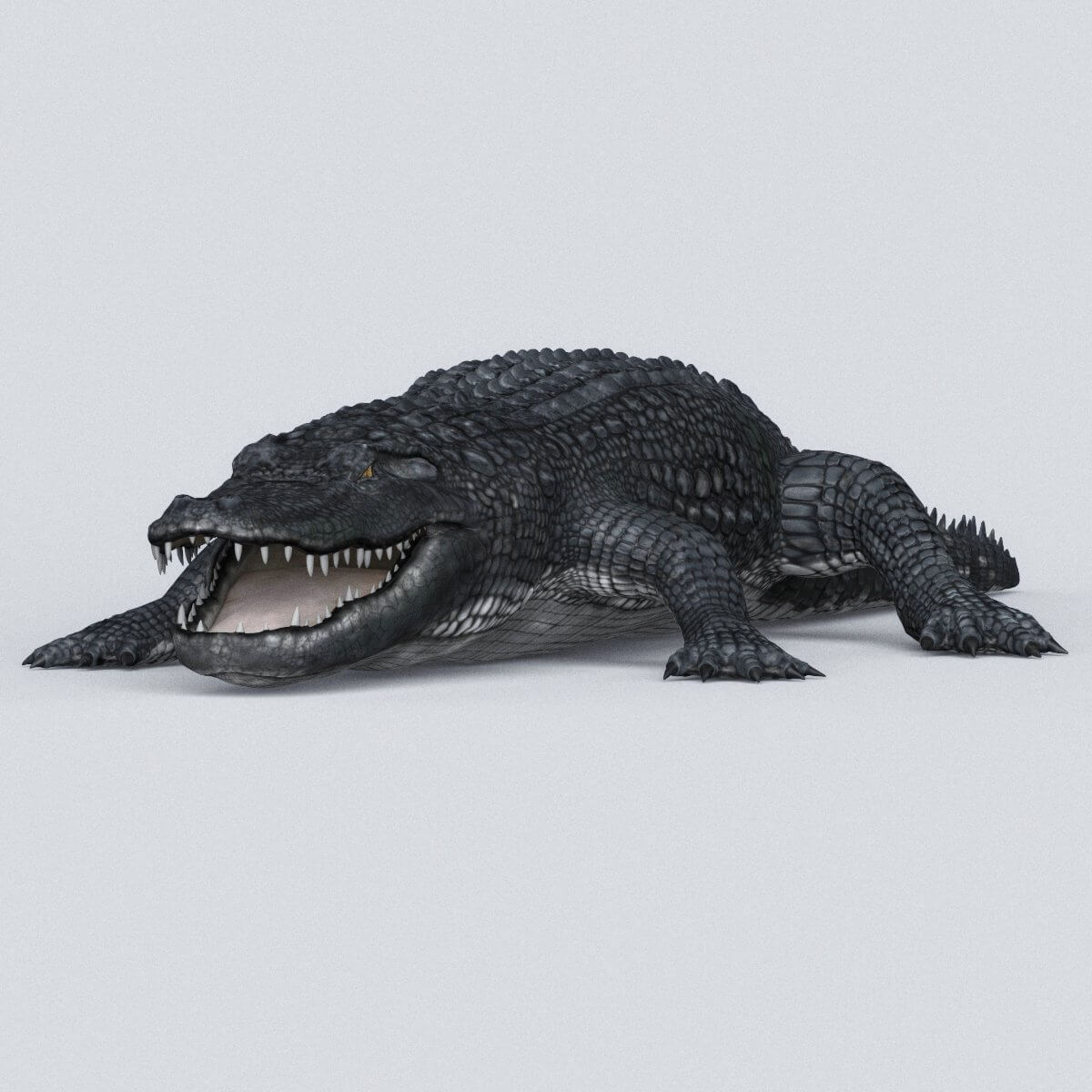 Crocodile - 3D Model by TreeWorld3d
