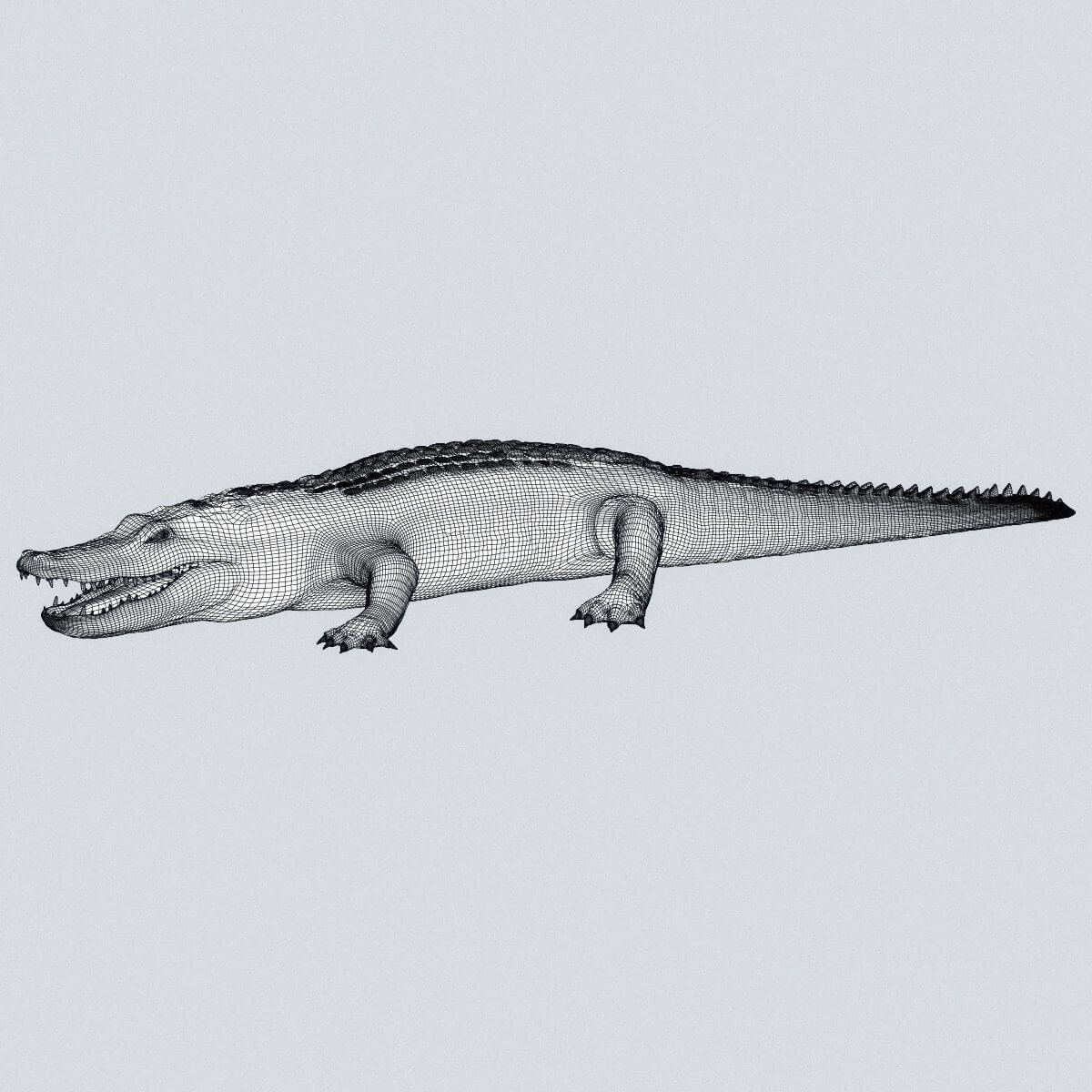 Crocodile - 3D Model by TreeWorld3d