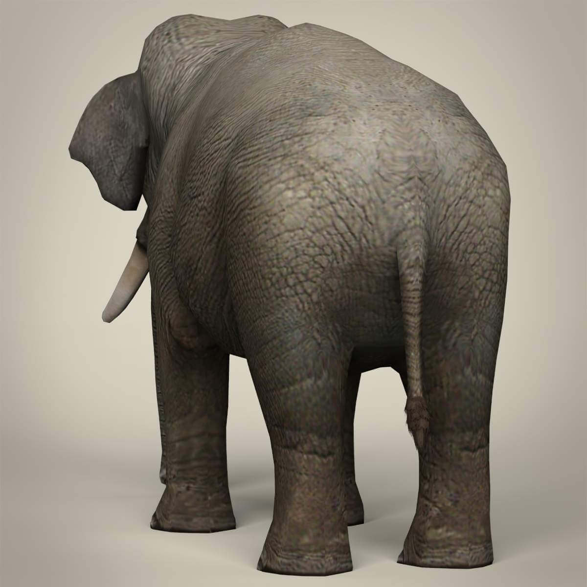 Elephant - 3D Model by TreeWorld3d