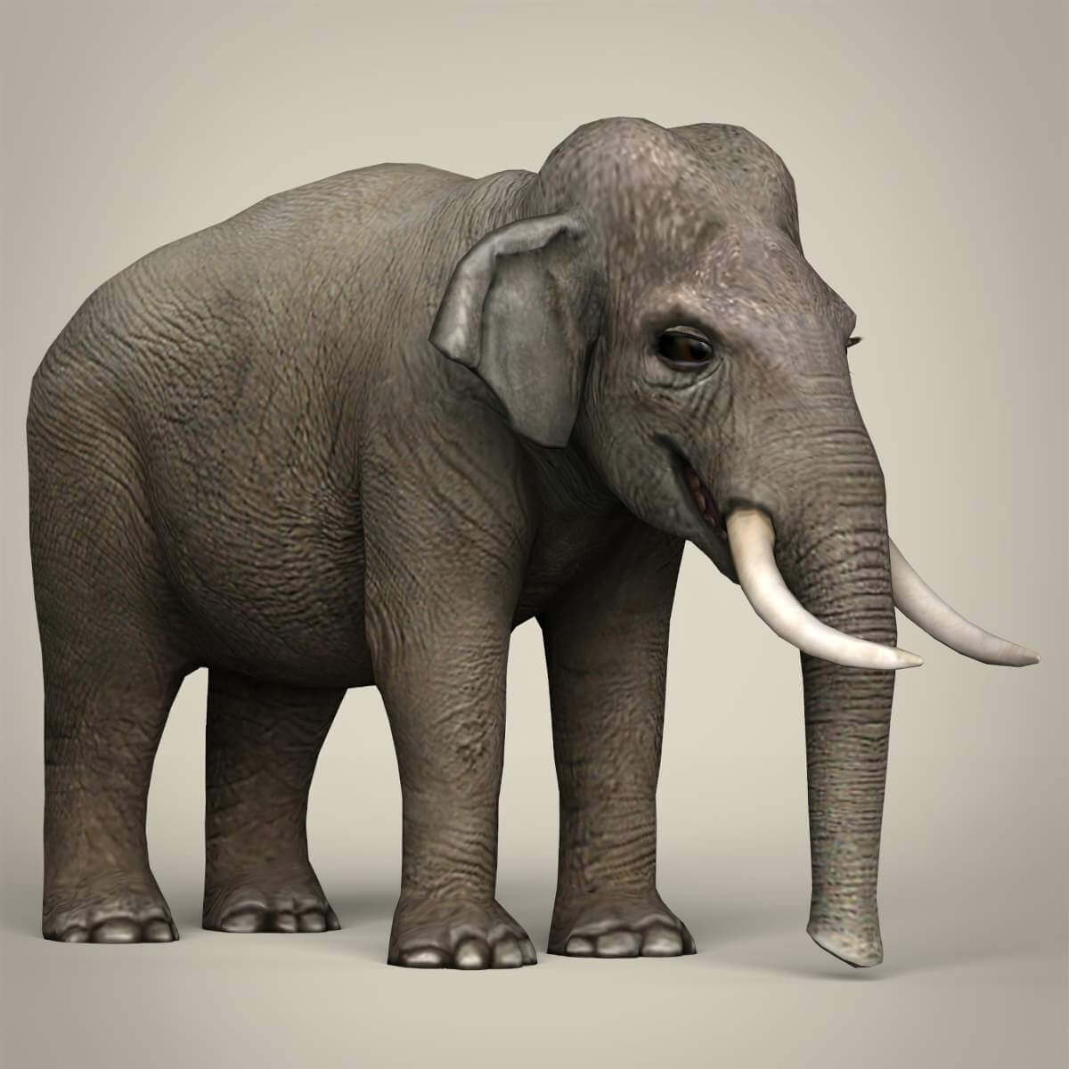 Elephant - 3D Model by TreeWorld3d