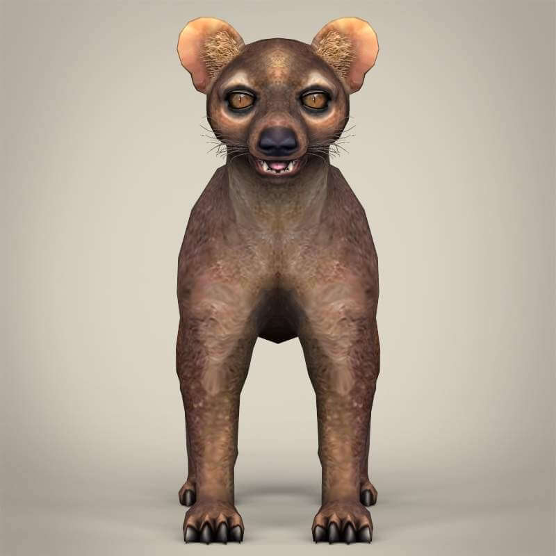 Fossa - 3D Model by TreeWorld3d