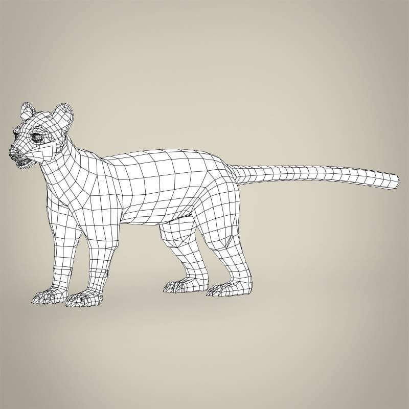 Fossa - 3D Model by TreeWorld3d