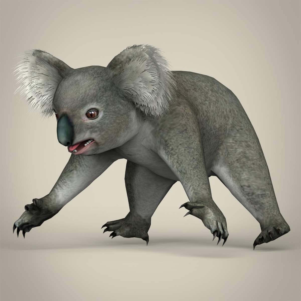 Koala - 3D Model by TreeWorld3d