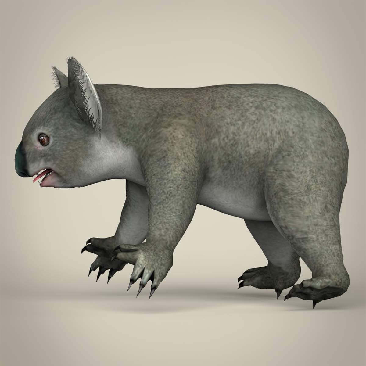 Koala - 3D Model by TreeWorld3d