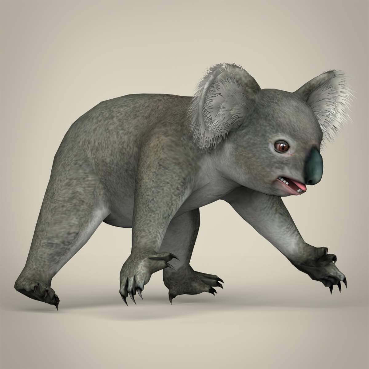 Koala - 3D Model by TreeWorld3d