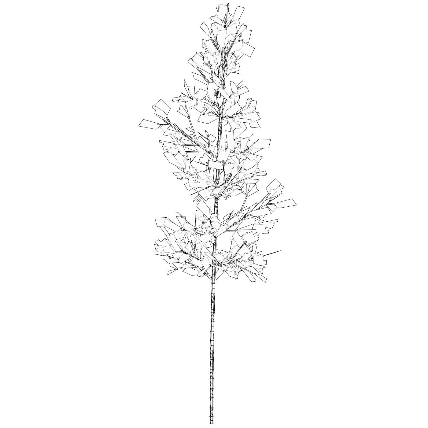 Realistic Low Poly Bamboo 05 - 3D Model by TreeWorld3d