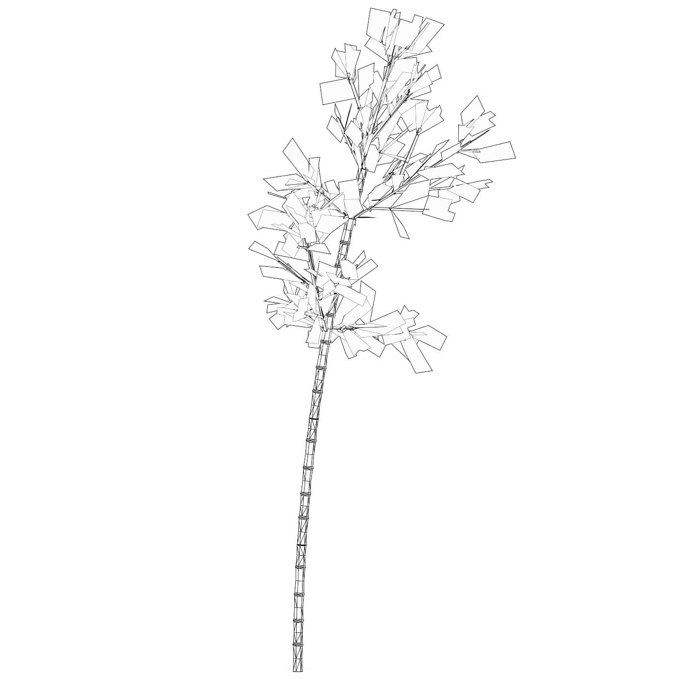 Realistic Low Poly Bamboo 08 - 3D Model by TreeWorld3d