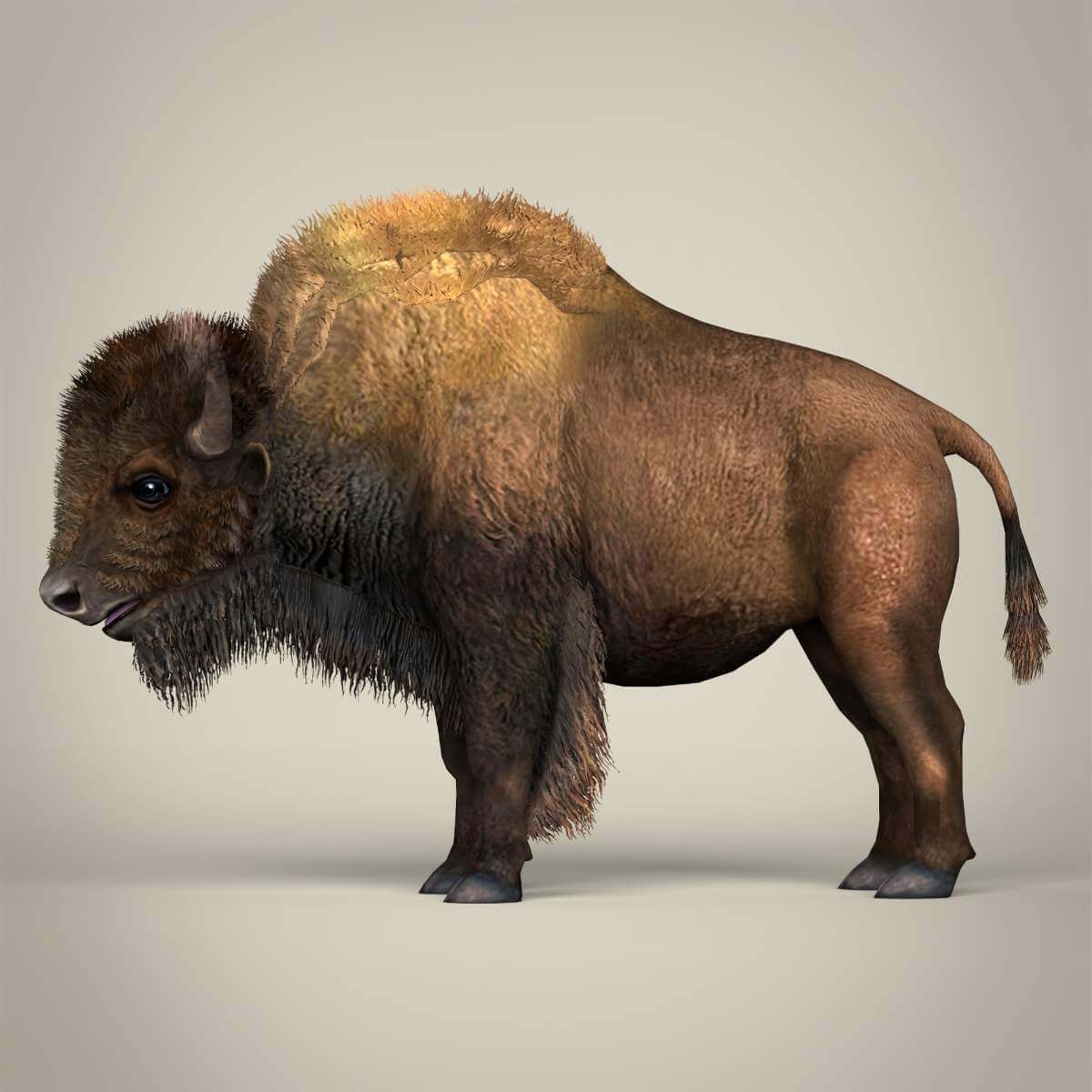 Montana Buffalo - 3D Model by TreeWorld3d