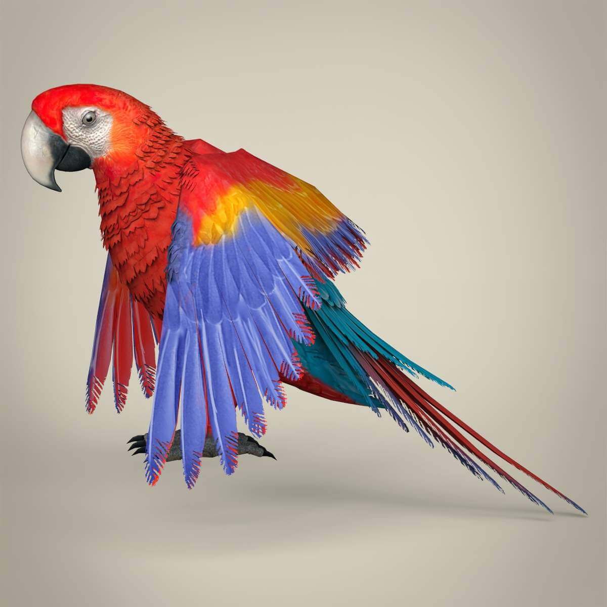 Parrot - 3D Model by TreeWorld3d