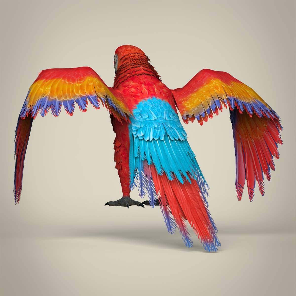 Parrot - 3D Model by TreeWorld3d