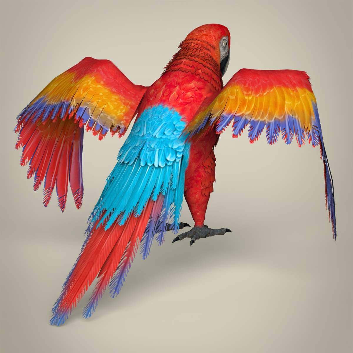 Parrot - 3D Model by TreeWorld3d