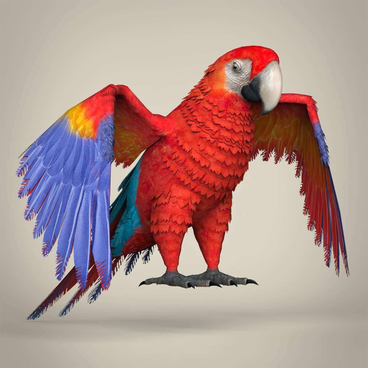 Parrot - 3D Model by TreeWorld3d