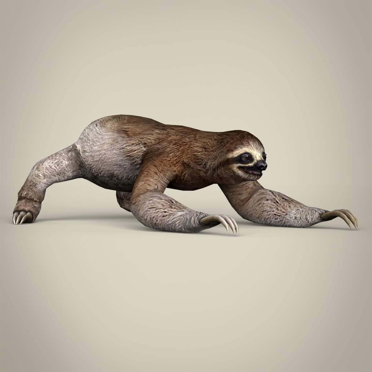 Sloth - 3D Model by TreeWorld3d