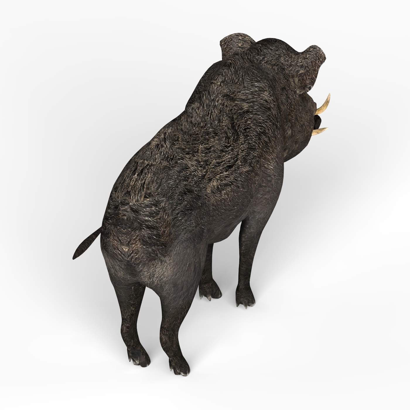 Wild Boar - 3D Model by TreeWorld3d