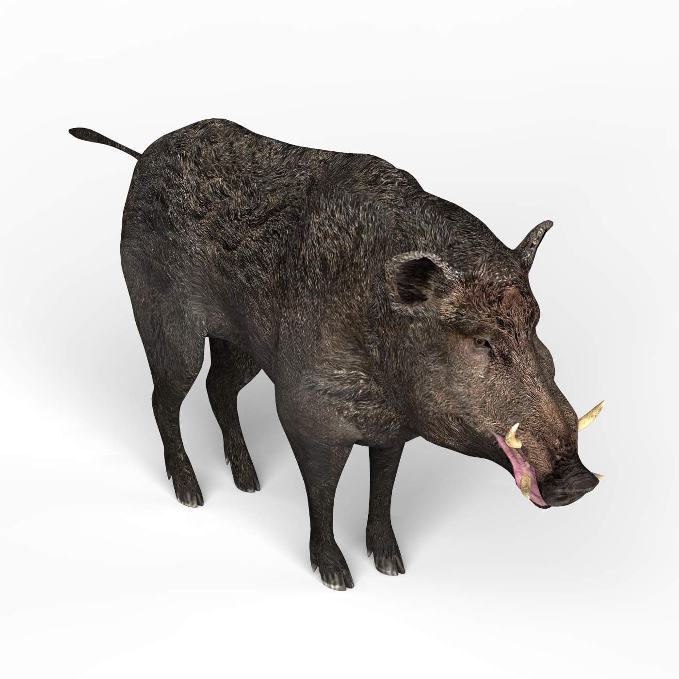 Wild Boar - 3D Model by TreeWorld3d