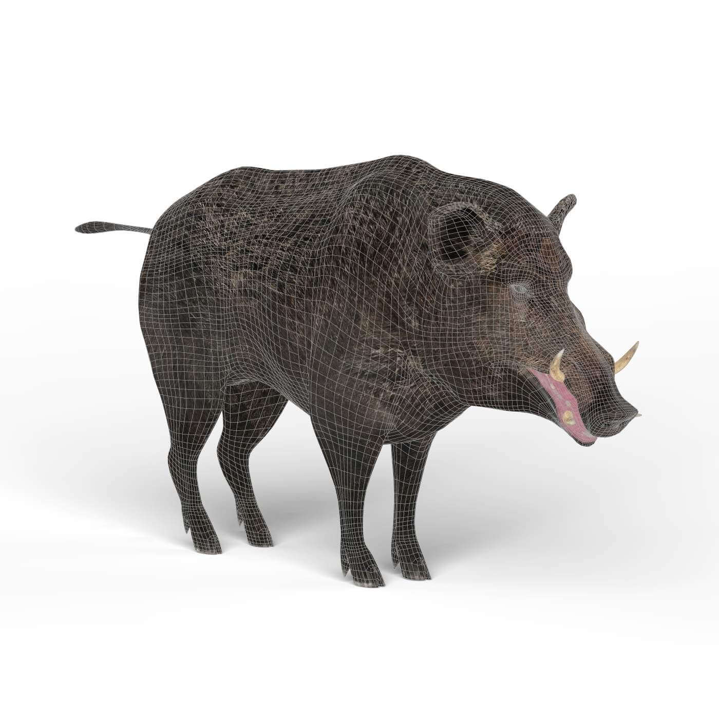 Wild Boar - 3D Model by TreeWorld3d