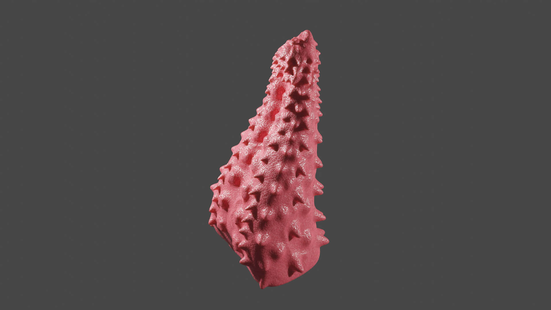 58 Fantasy Dildo Tridsign Collection Pack - 3D Model by TriDsign