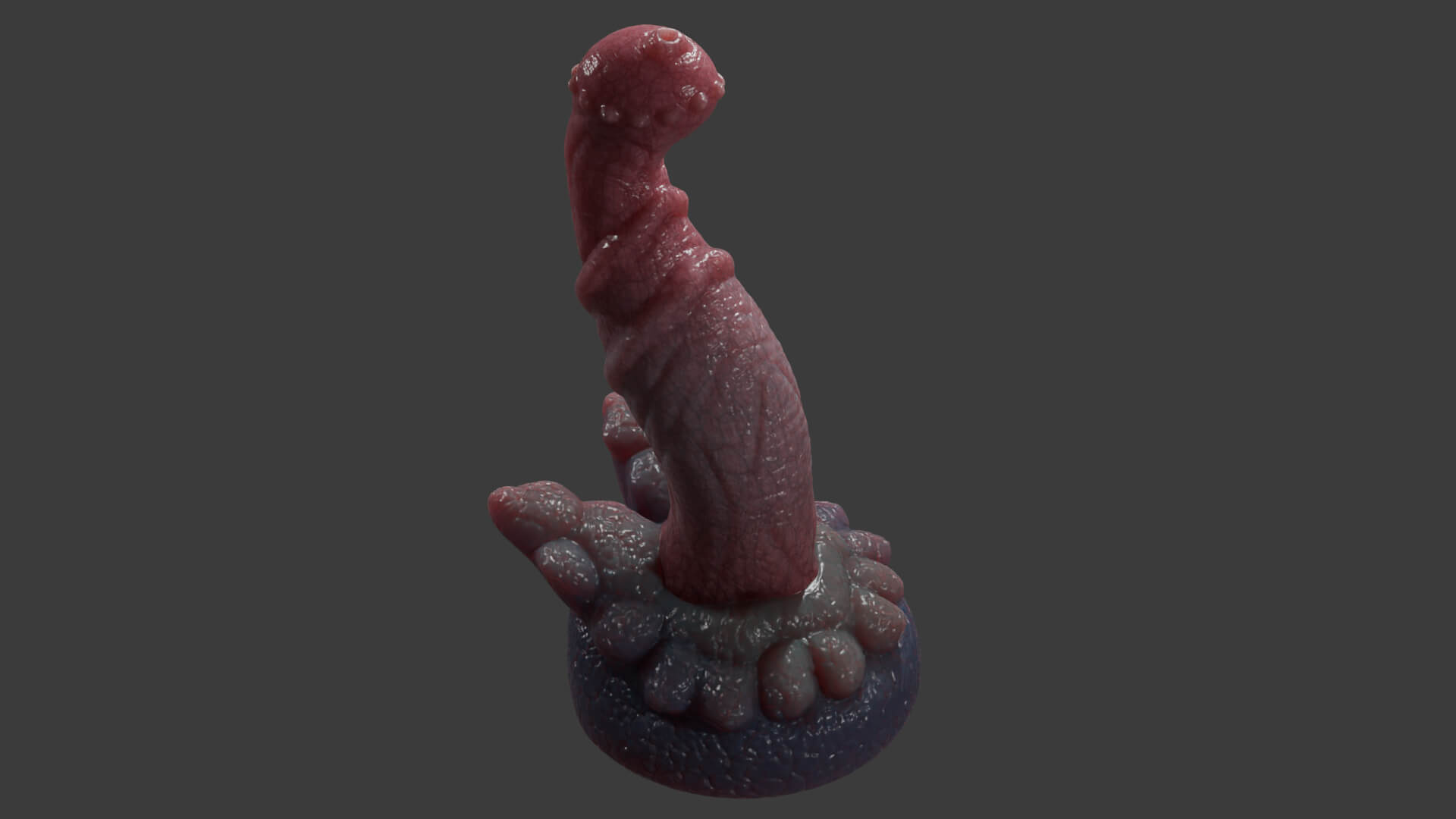 Brum Dragon Dildo Low Poly Rigged - 3D Model by TriDsign