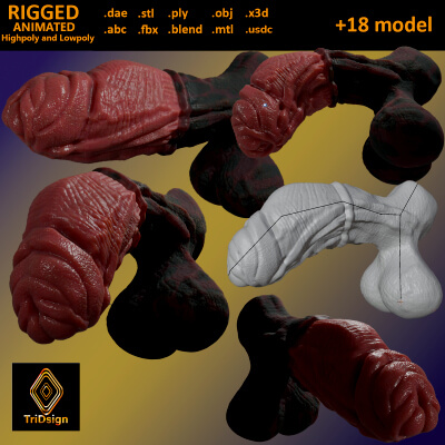 Celladon Dragon Penis Rigged Lowpoly and Highpoly - 3D Model by TriDsign