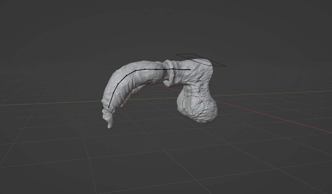 Werewolf Dildo Rigged - 3D Model by TriDsign