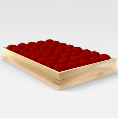 Apple - Apple Tray 3D Model by Trish