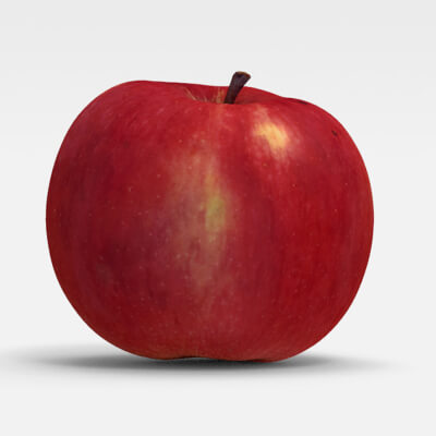 Apple - Red Apple 3D Model by Trish