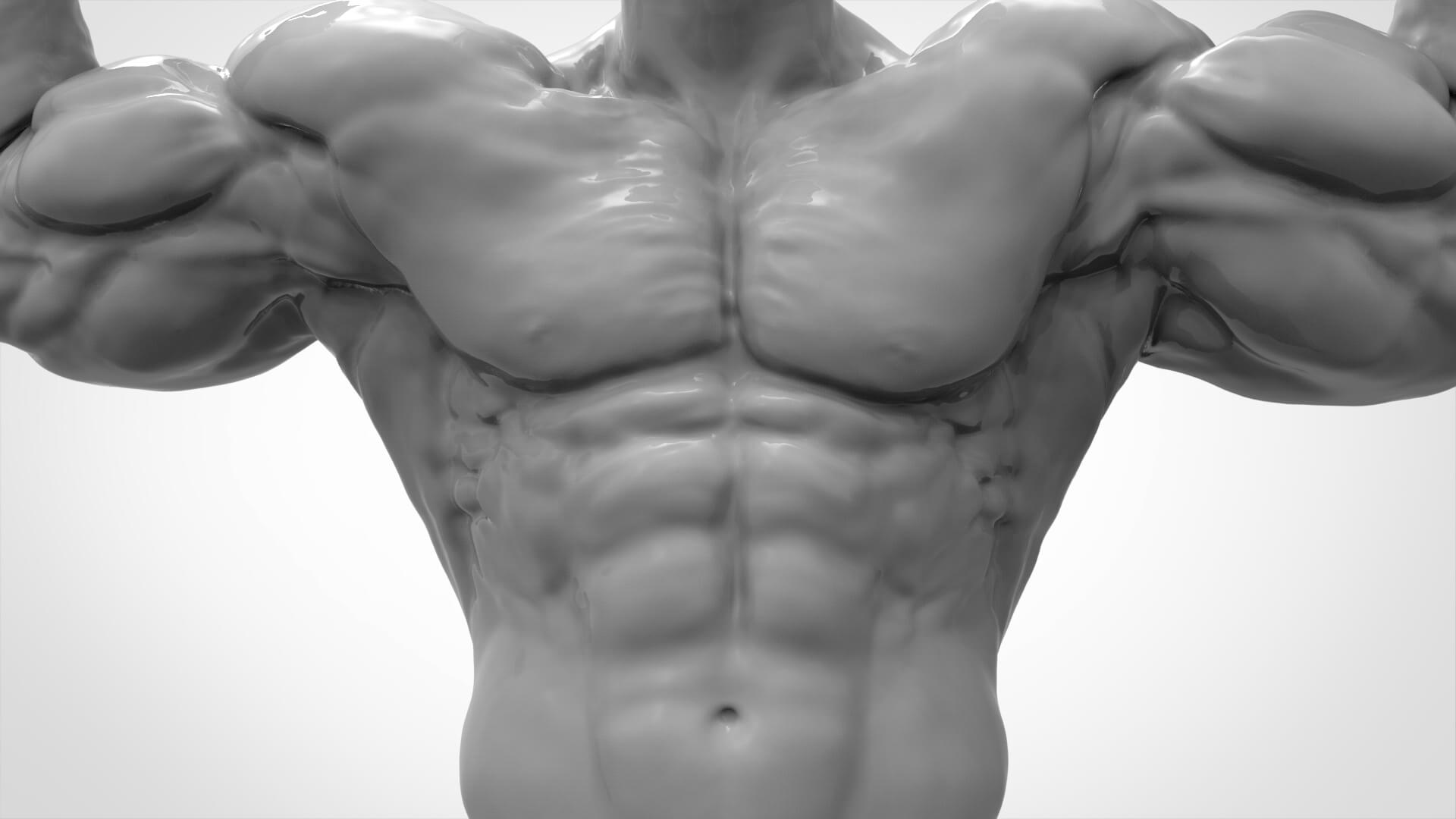 Bodybuilder Pose - Anatomy 3D Model by Trish