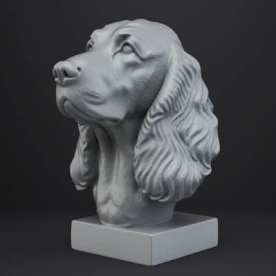 Cocker Spaniel Dog Bust - 3D Model by Trish