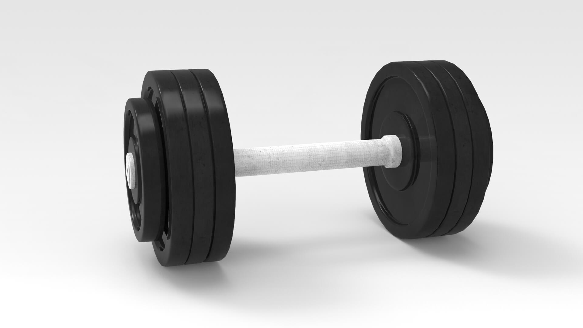 Dumbbell - Gym Eqquipment 3D Model by Trish