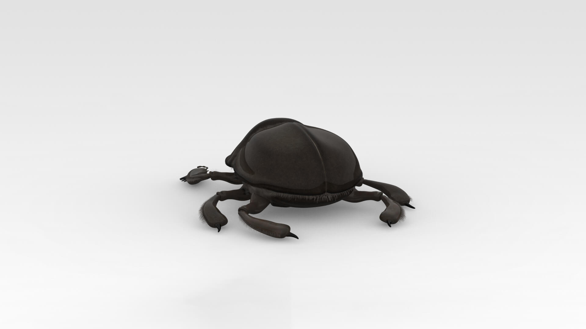 Egyptian Scarab - 3D Model by Trish