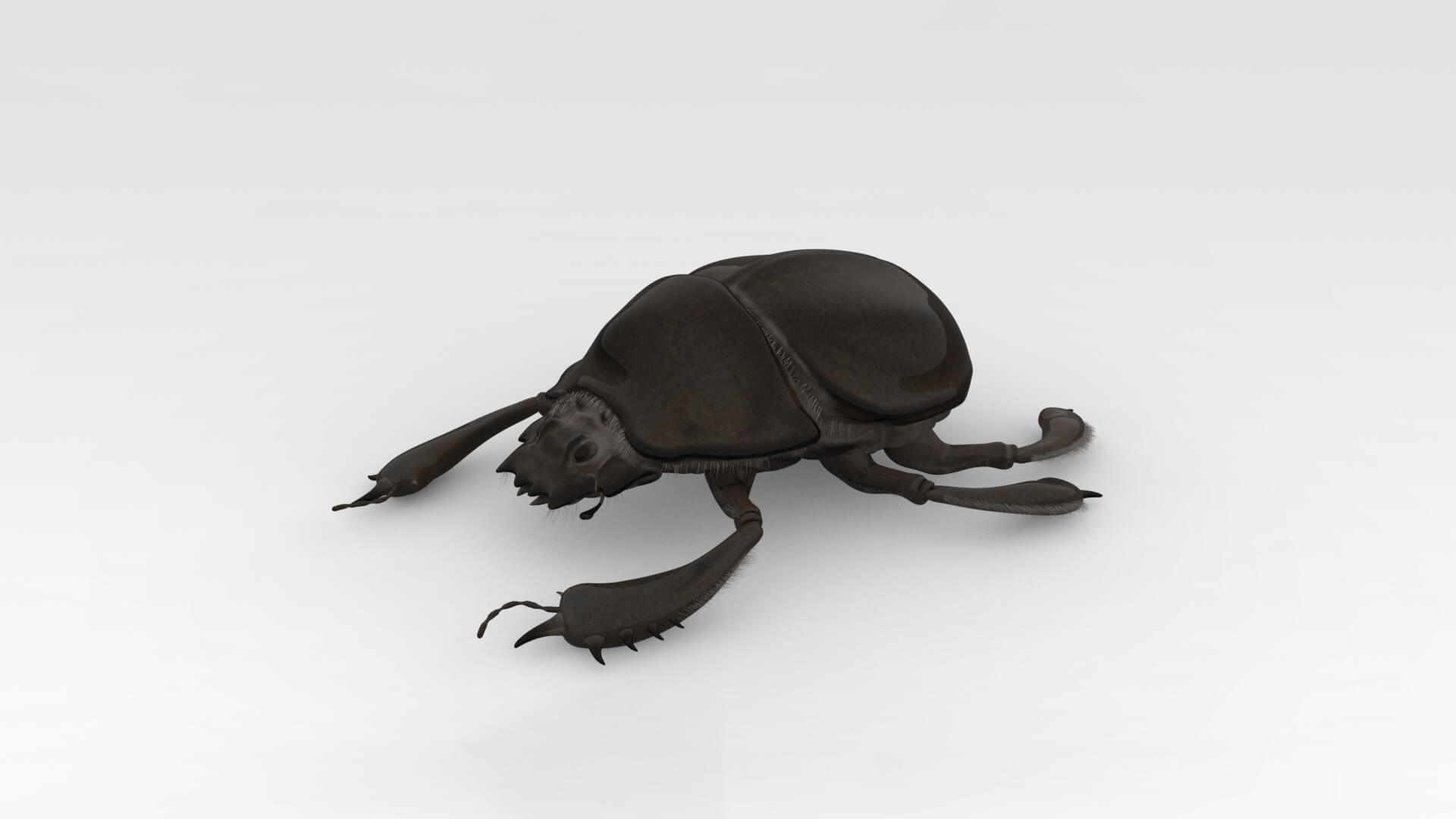 Egyptian Scarab - 3D Model by Trish