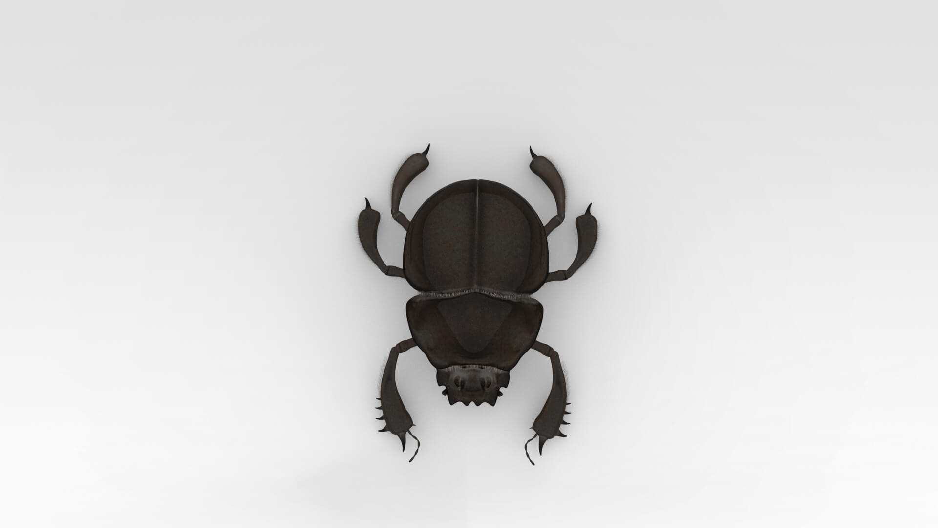Egyptian Scarab - 3D Model by Trish