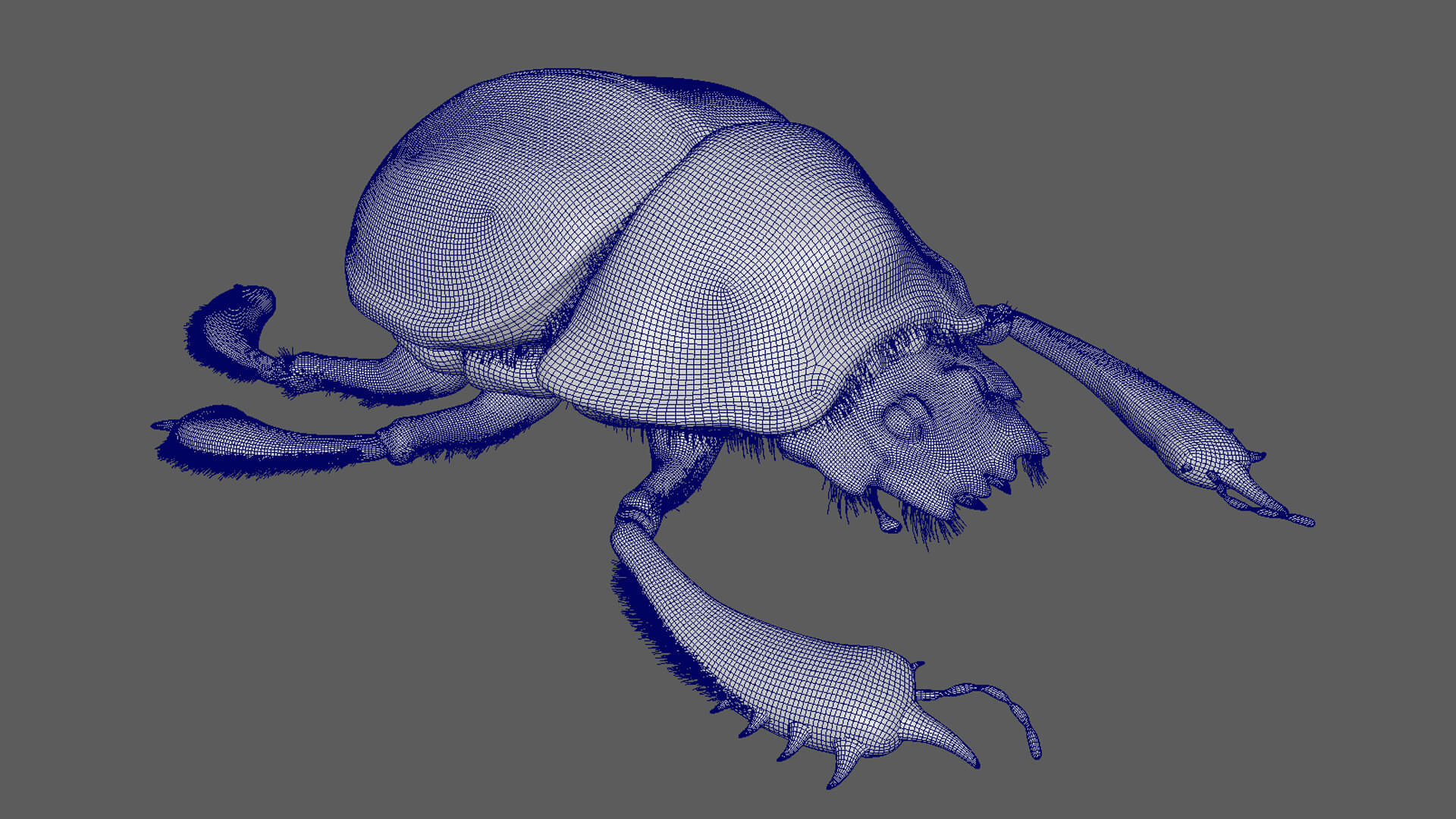 Egyptian Scarab - 3D Model by Trish