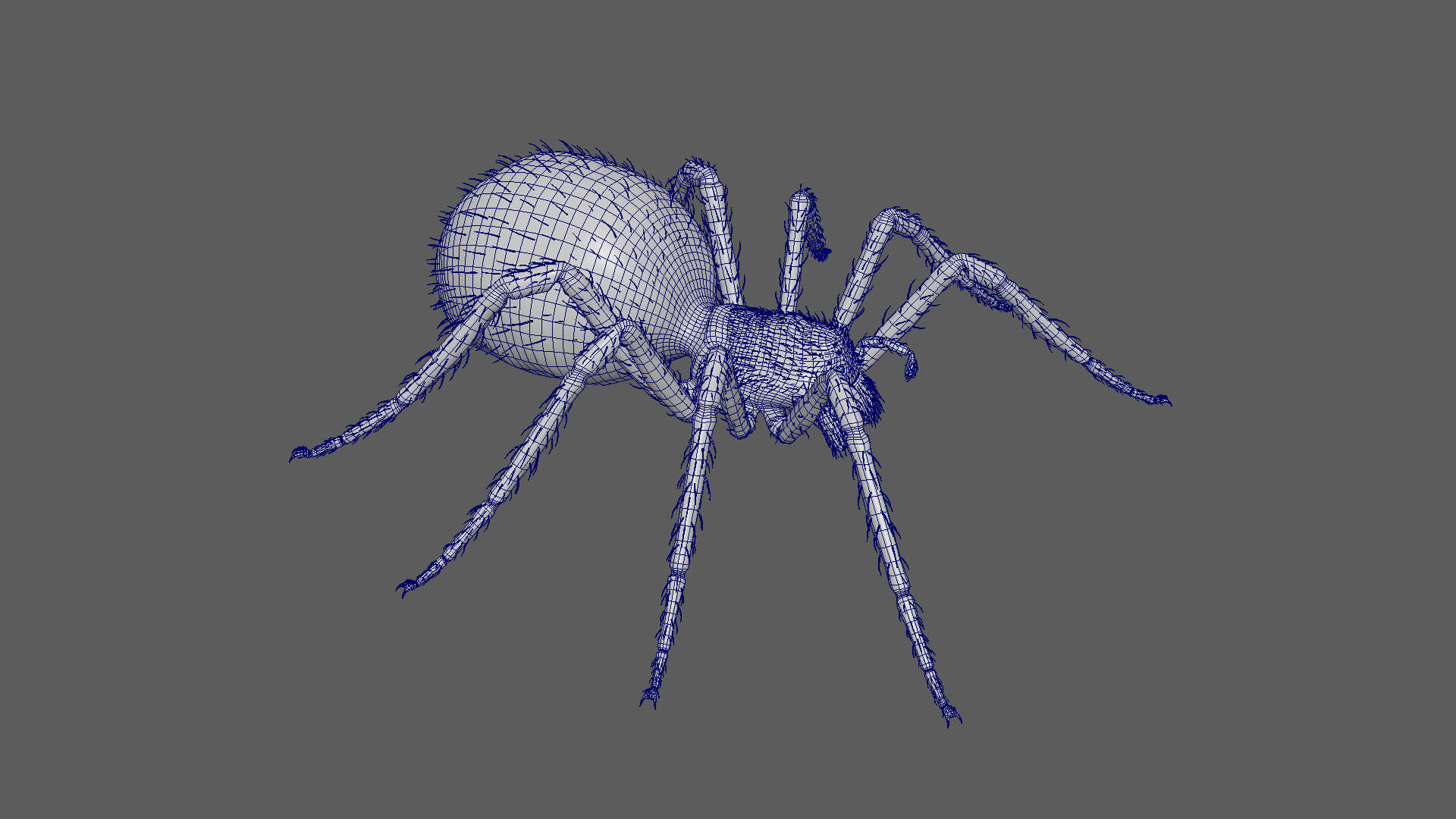 Giant Spider - Arachnids 3D Model by Trish
