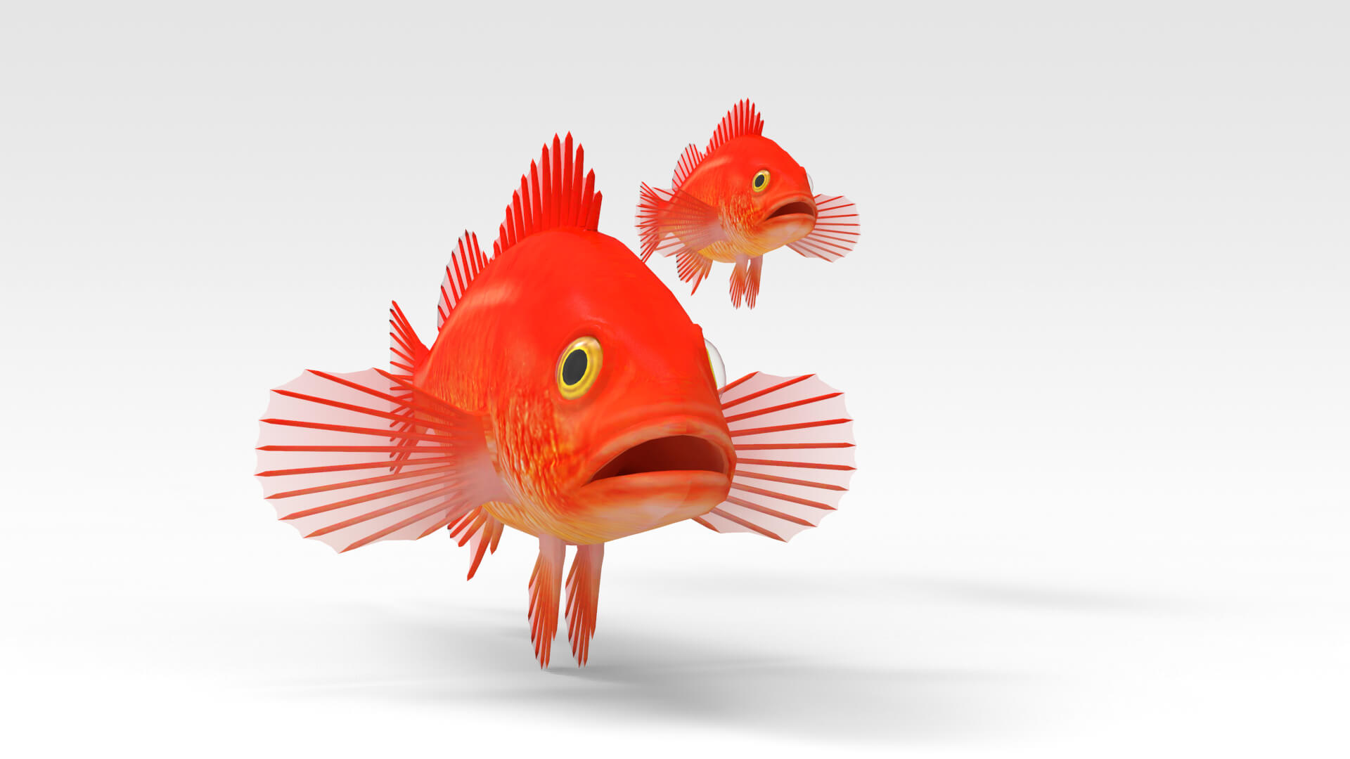 Gold Fish - Gold Fish 3D Model by Trish