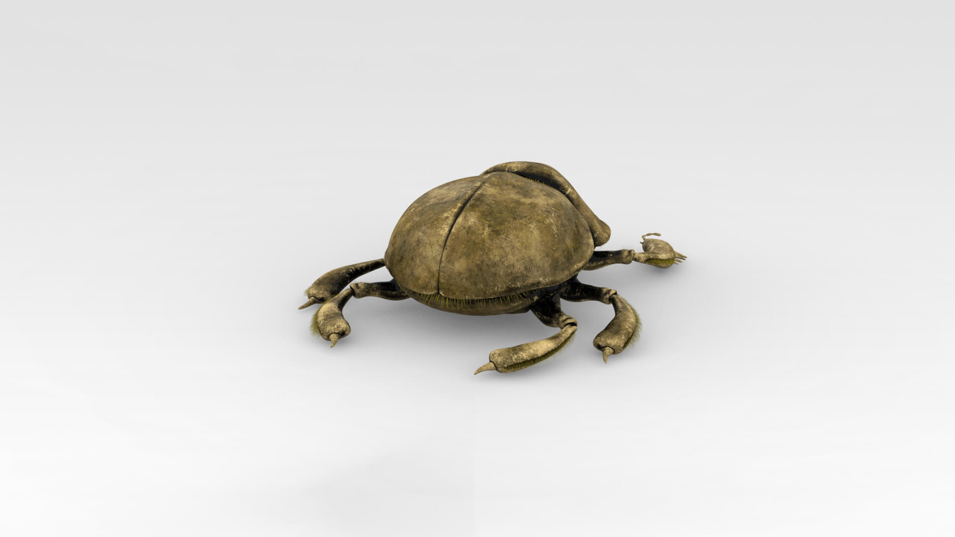 Golden Scarab - Insect 3D Model by Trish
